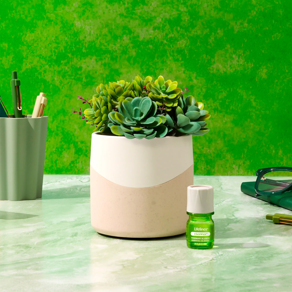 Plant Diffuser-Succulent Planter | Dorm Essentials – Dormify