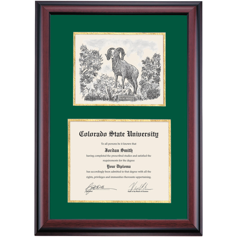 Colorado State Premier the Ram Sculpture Diploma Frame | College Shop ...