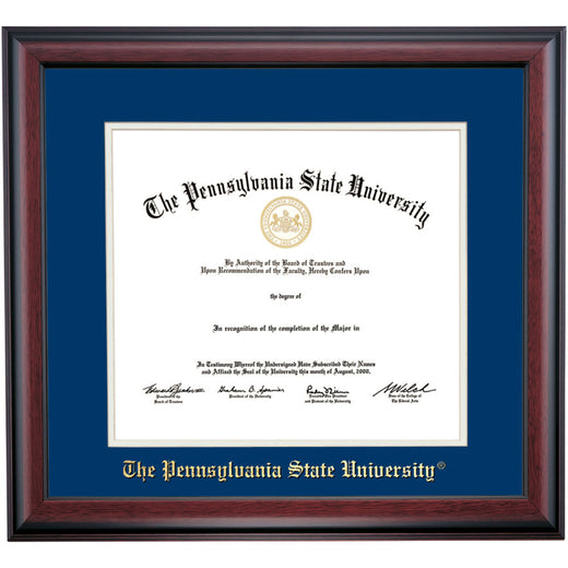 Penn State School Color Traditional Diploma Frame for Medical Degree ...