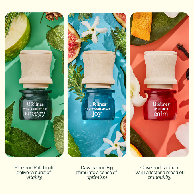 Essential Oil Blends Discovery Set | Dorm Essentials – Dormify