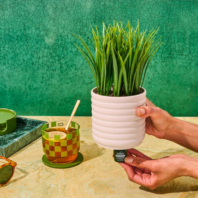 Plant Diffuser-Grass Planter | Dorm Essentials - Dormify
