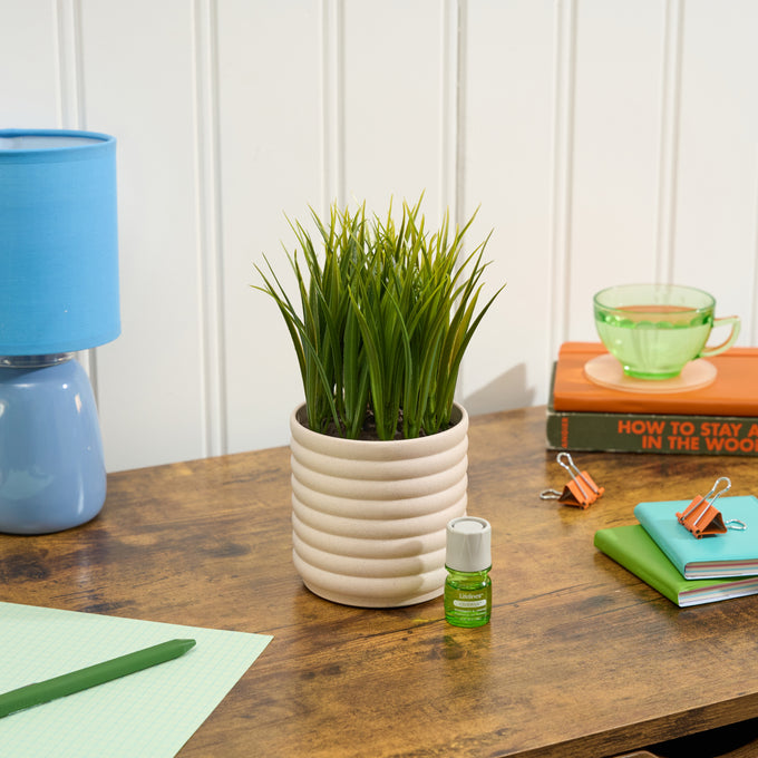 Plant Diffuser-Grass Planter | Dorm Essentials – Dormify