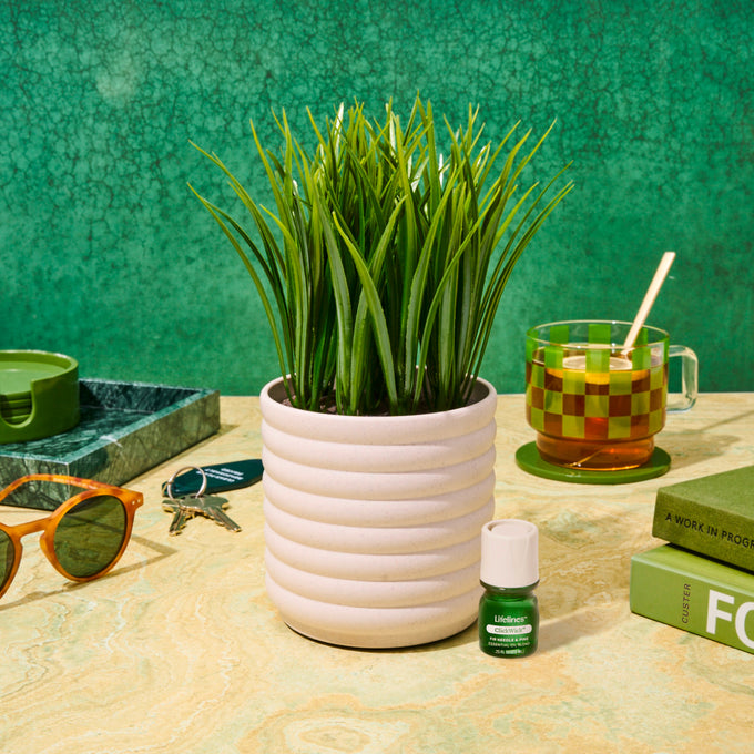 Plant Diffuser-Grass Planter | Dorm Essentials - Dormify