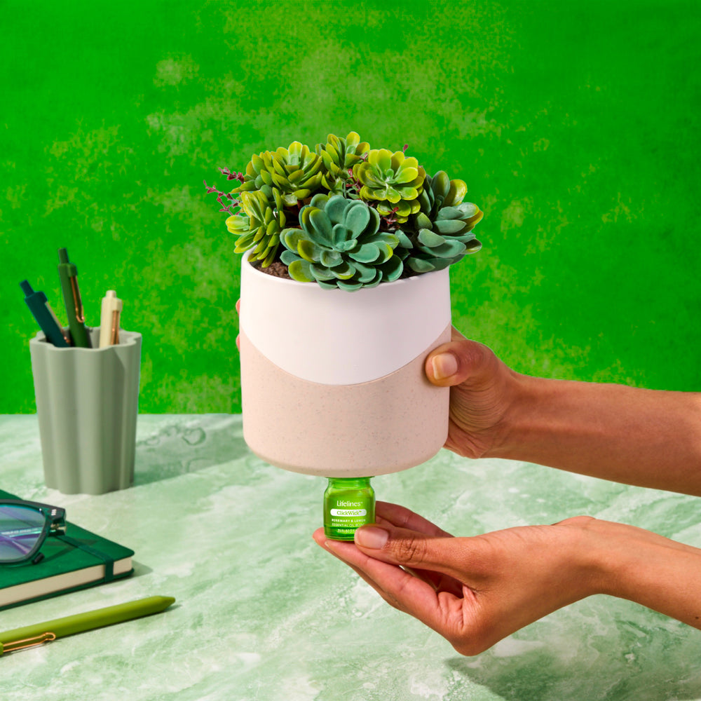 Plant Diffuser-Succulent Planter | Dorm Essentials – Dormify