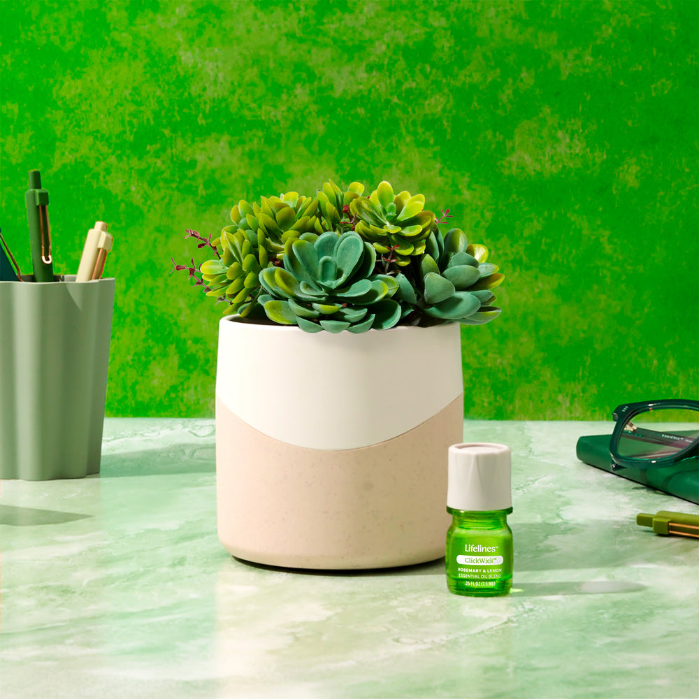 Plant Diffuser-Succulent Planter | Dorm Essentials – Dormify