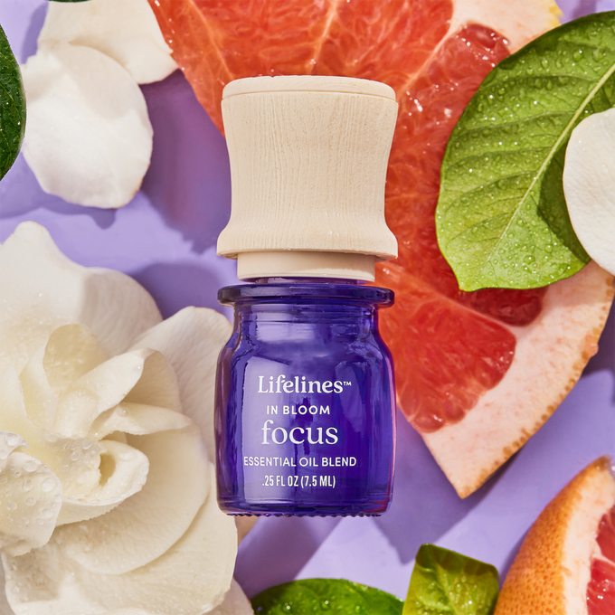 In Bloom Calm & Focus Bundle | Dorm Essentials – Dormify