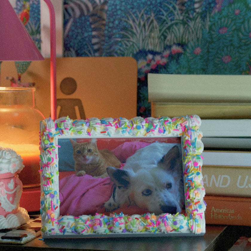 Sprinkle Frame | Dorm Essentials – Dormify