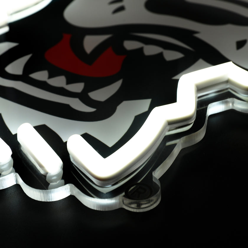 NC State Neon Sign | Dorm Essentials – Dormify