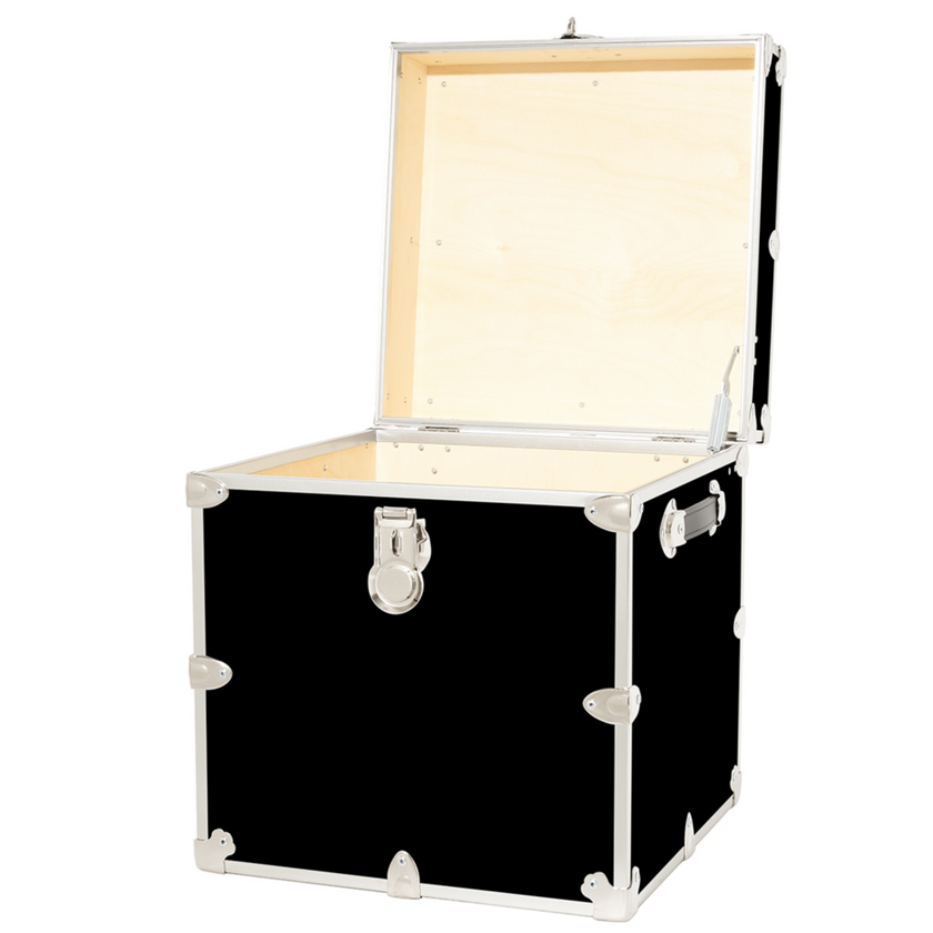 Rhino Vinyl Cube Trunk with Silver Trim | Dorm Essentials – Dormify