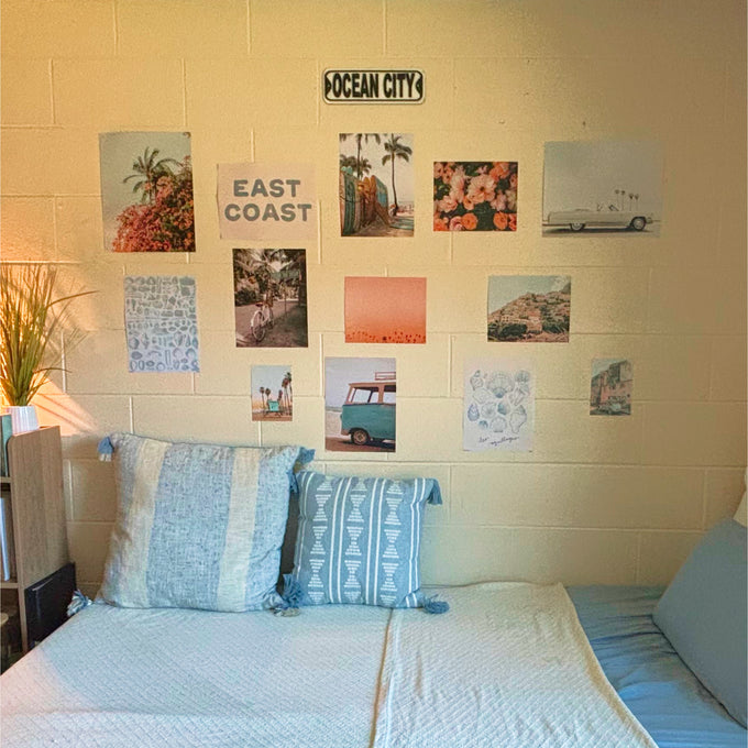 Shell Print by Sumner Lane | Dorm Essentials – Dormify