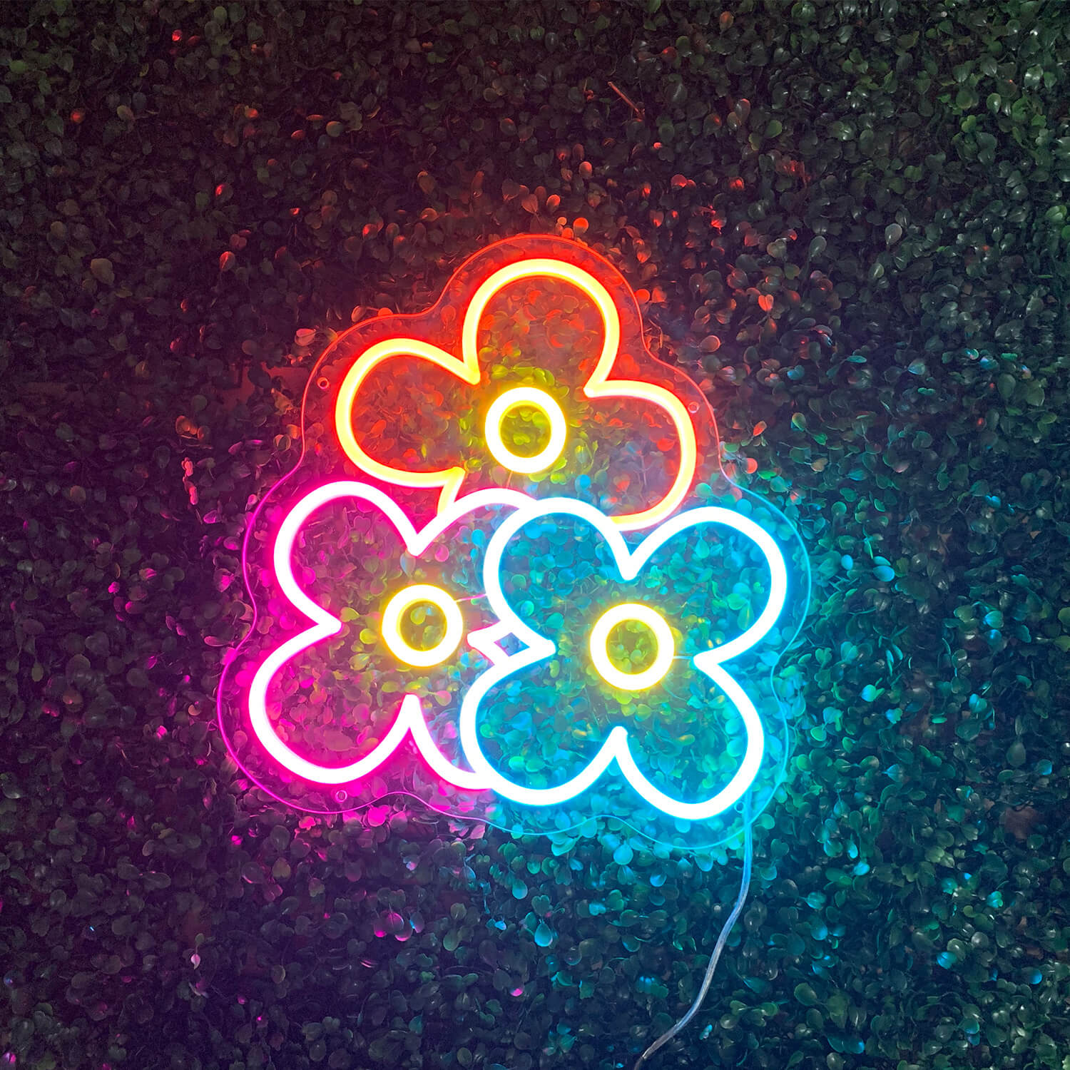 Daisies Neon Sign | Dorm Essentials - Dormify