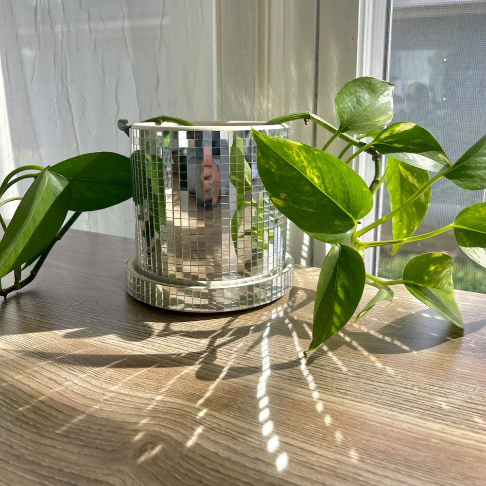 Disco Planter Pot – Dormify