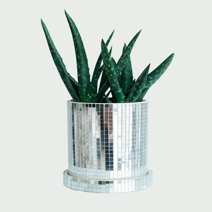 Disco Planter Pot – Dormify