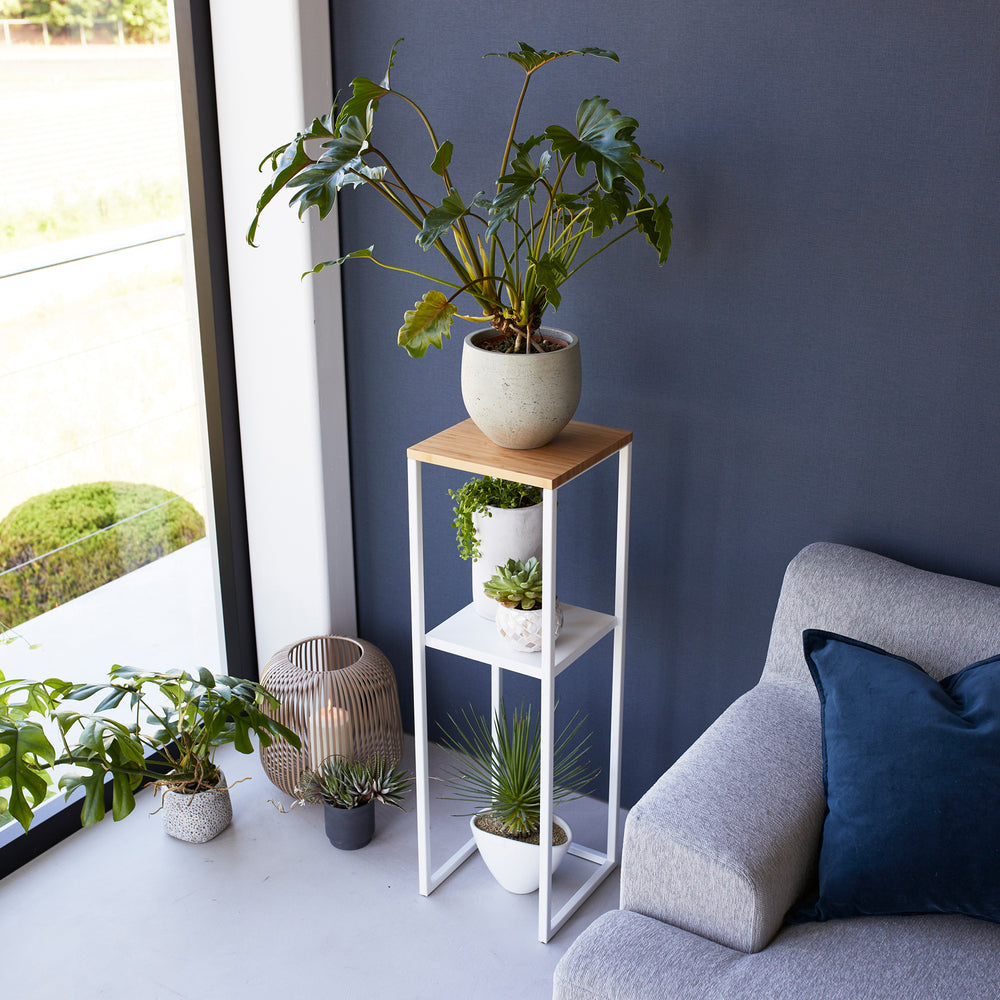 Two-Tier Display & Storage Shelf - Dormify