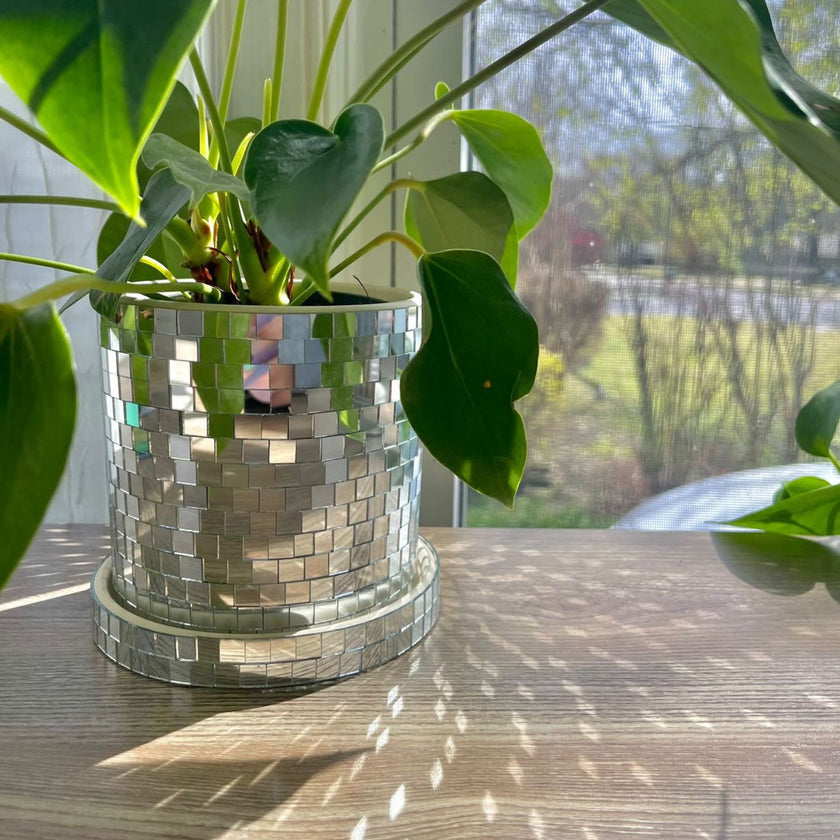 Disco Planter Pot – Dormify