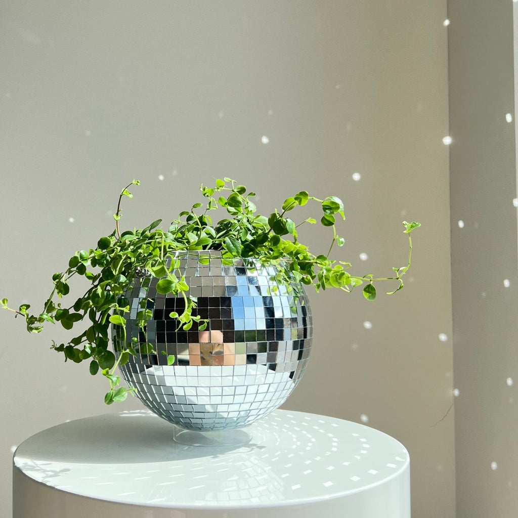 8" Disco Ball Planter – Dormify